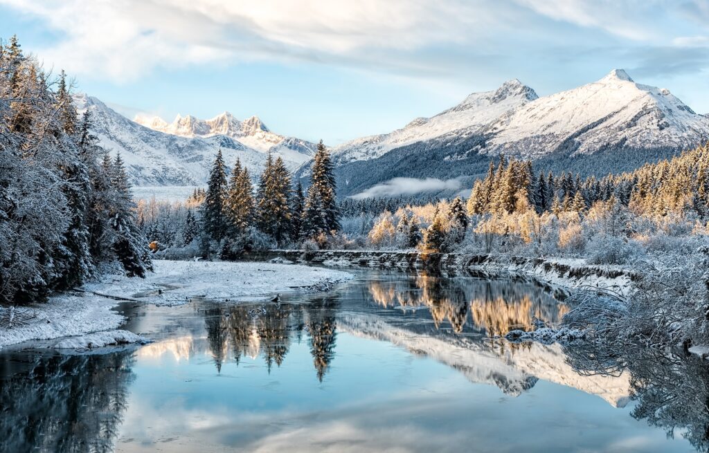 Performance report: Uncovering what shaped markets in the fourth ...