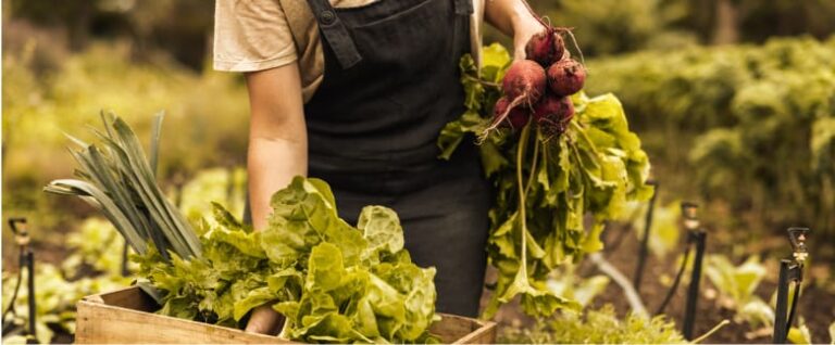 Investment Strategy: Grow Wealth with Financial Advisors | Facet